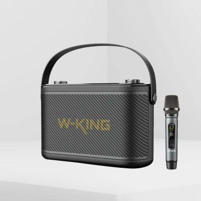 W-King H10s (80Watts small portable karaoke speaker) | LA RUE